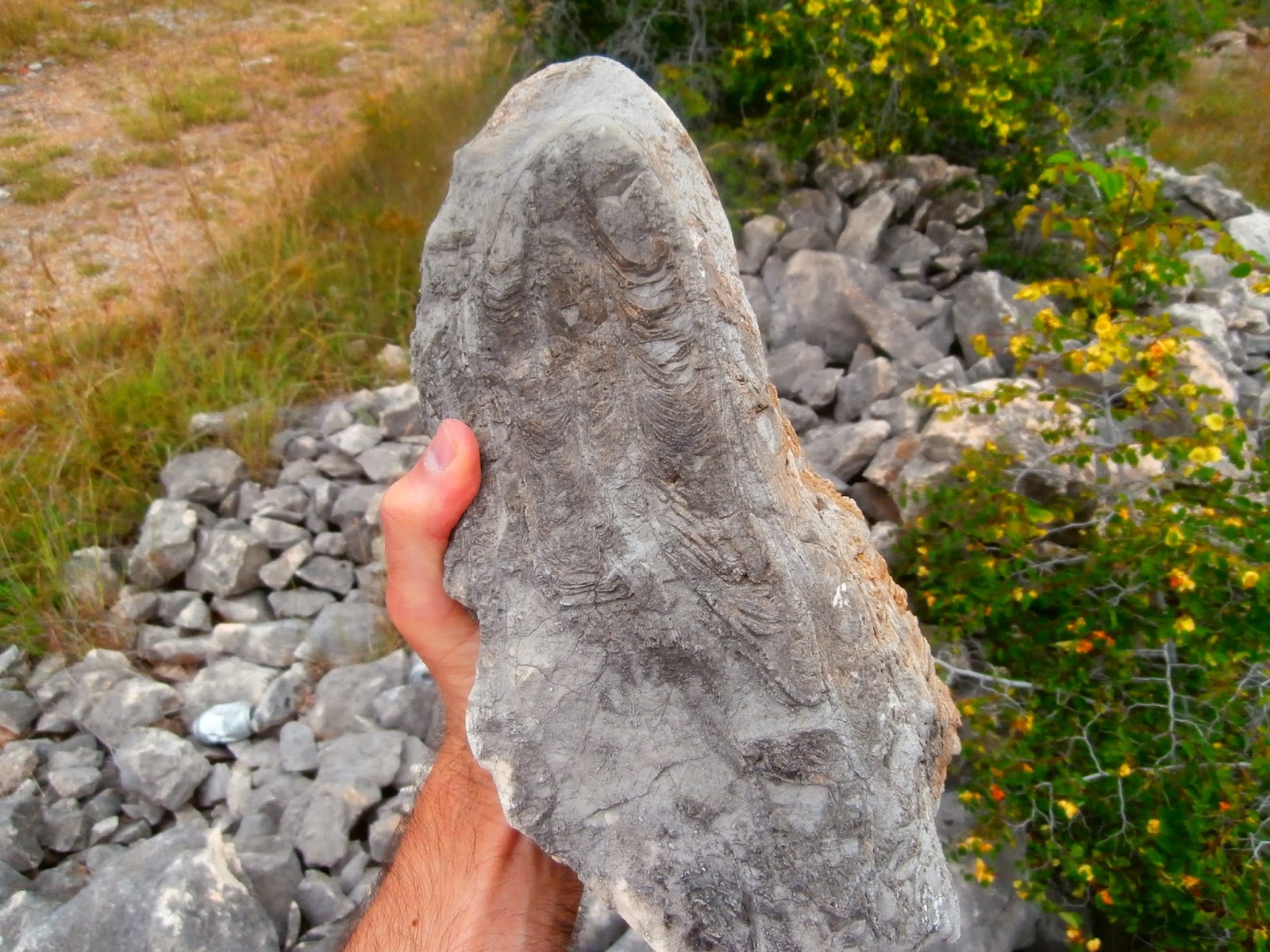 HERCEGOVINA-GEOARHEO: KOD SLIPČIĆA, JUŽNO OD MOSTARA, OTKRIVENO CARSTVO ...