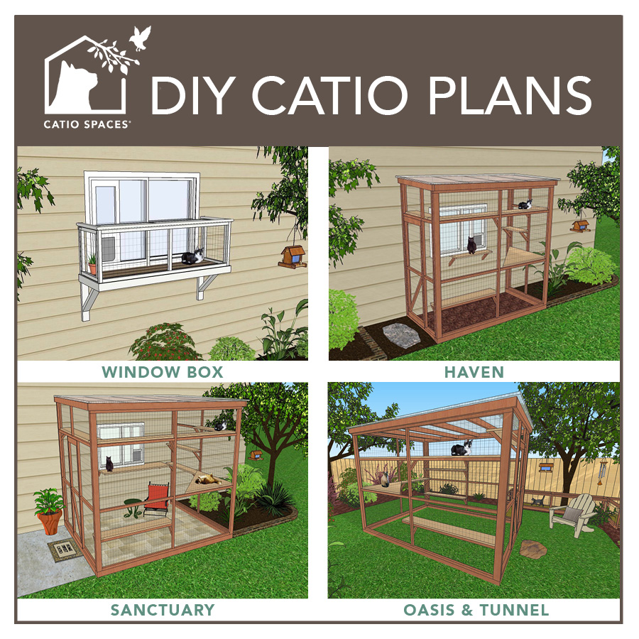 Feral Paws Rescue Group: Catio Spaces your cat will love!
