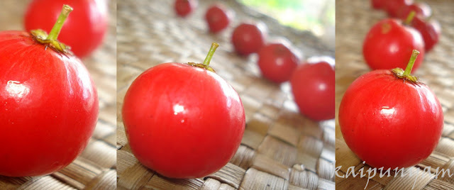 kaipunyam.com: Nellikka Chammanthi