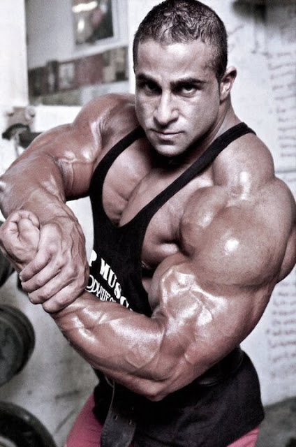 mr olympia 2012, mr olympia 2012 predictions, mr olympia 2012 winner ...