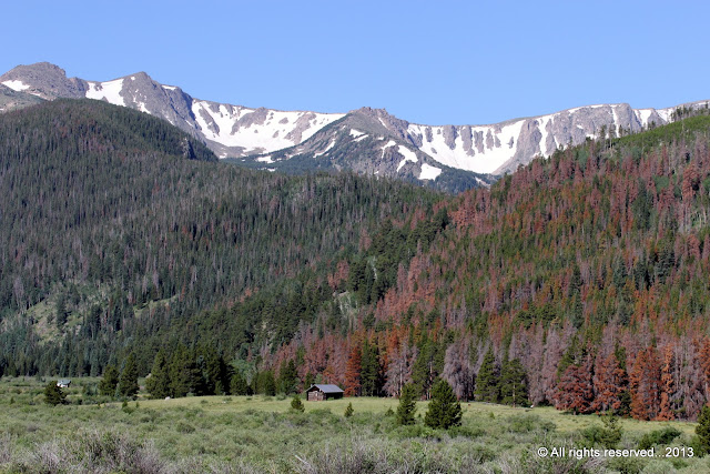 ...Photographic Memories: Pingree Park