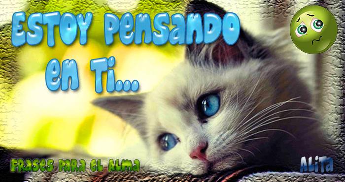 Frases Para el Alma: Estoy pensando en ti...