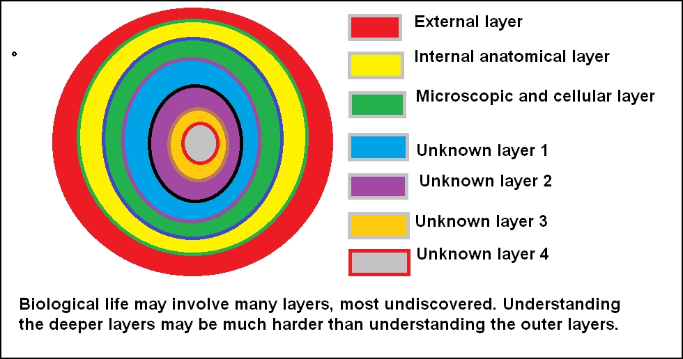 Future and Cosmos: We Are Kindergarten Kids in the Cosmic Schoolhouse