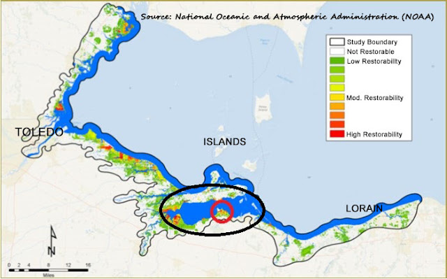 Moment in the Marsh: The "Sandusky Bay Initiative" and Restoration of ...