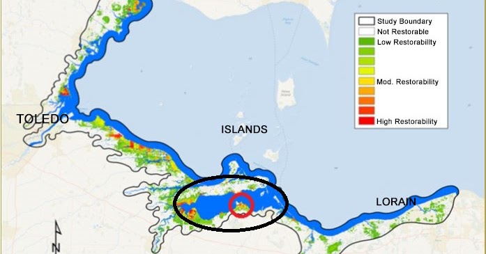 Moment in the Marsh: The "Sandusky Bay Initiative" and Restoration of ...