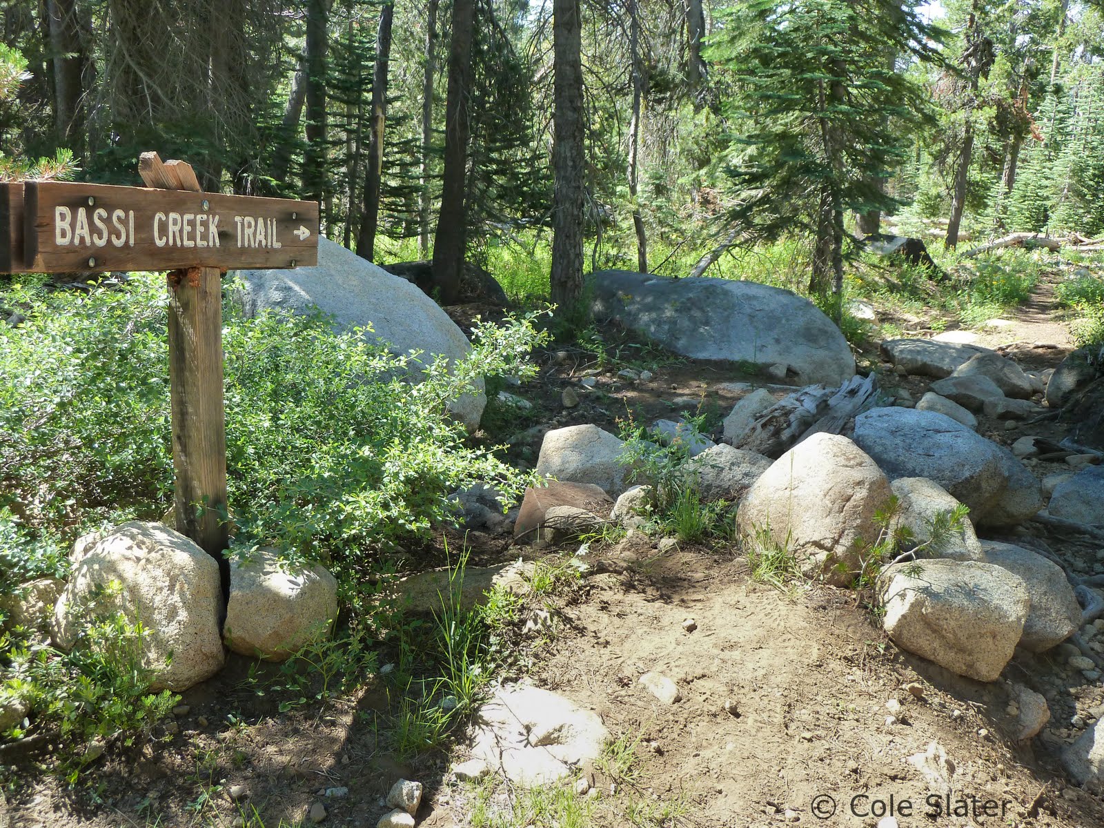 Cole's Trail Tales: Bassi Creek Loop Hike - Crystal Basin Recreation Area