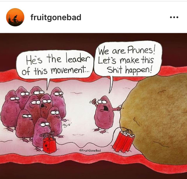 She Who Seeks: It's Shitposting Time!