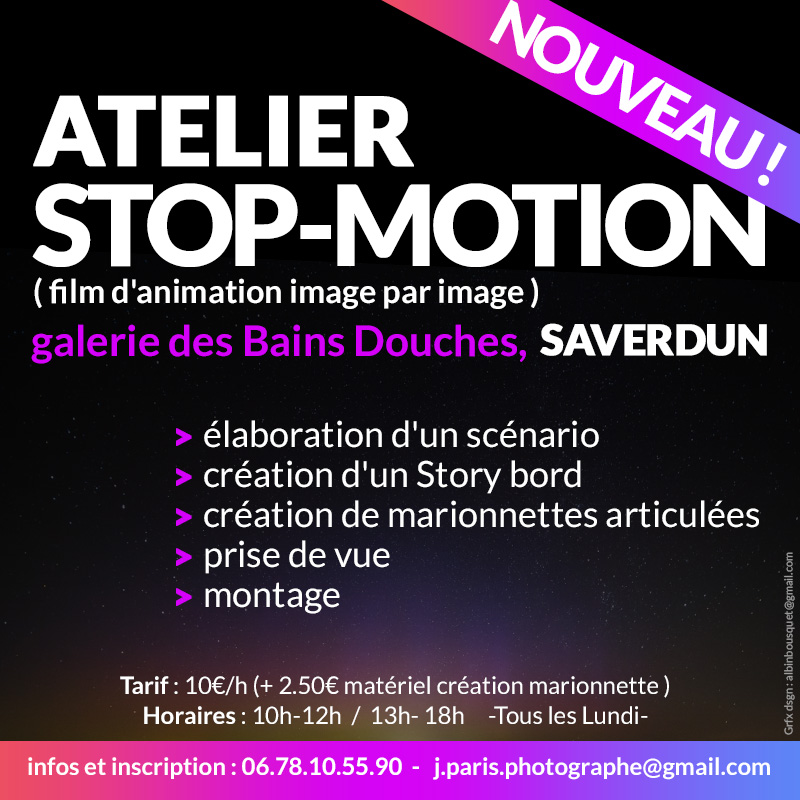 Nouveau à la galerie : atelier de Stop Motion tous les lundis proposé ...