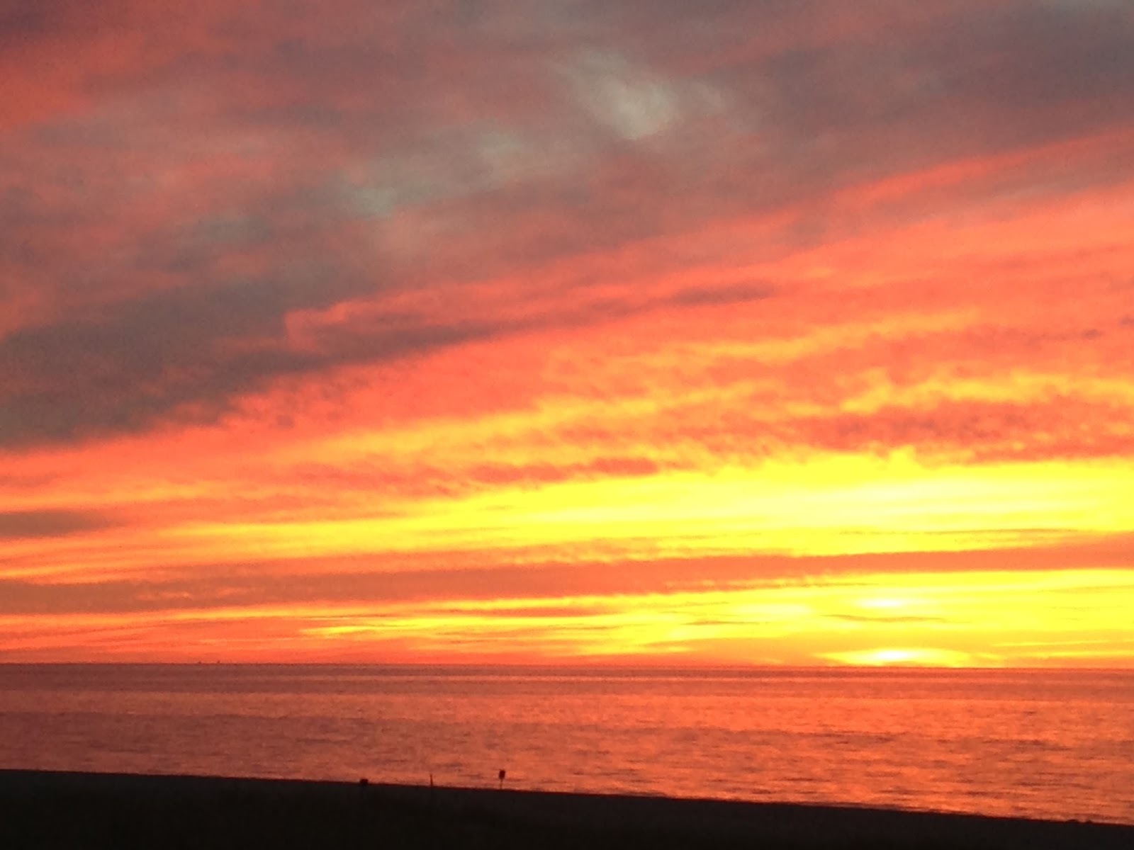 Reluctant Rebel: June 2015