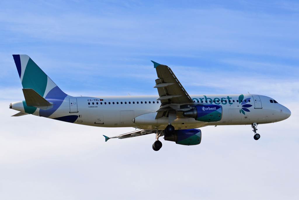 Ricardo Gomes - The True Life of a True Spotter: fevereiro 2015