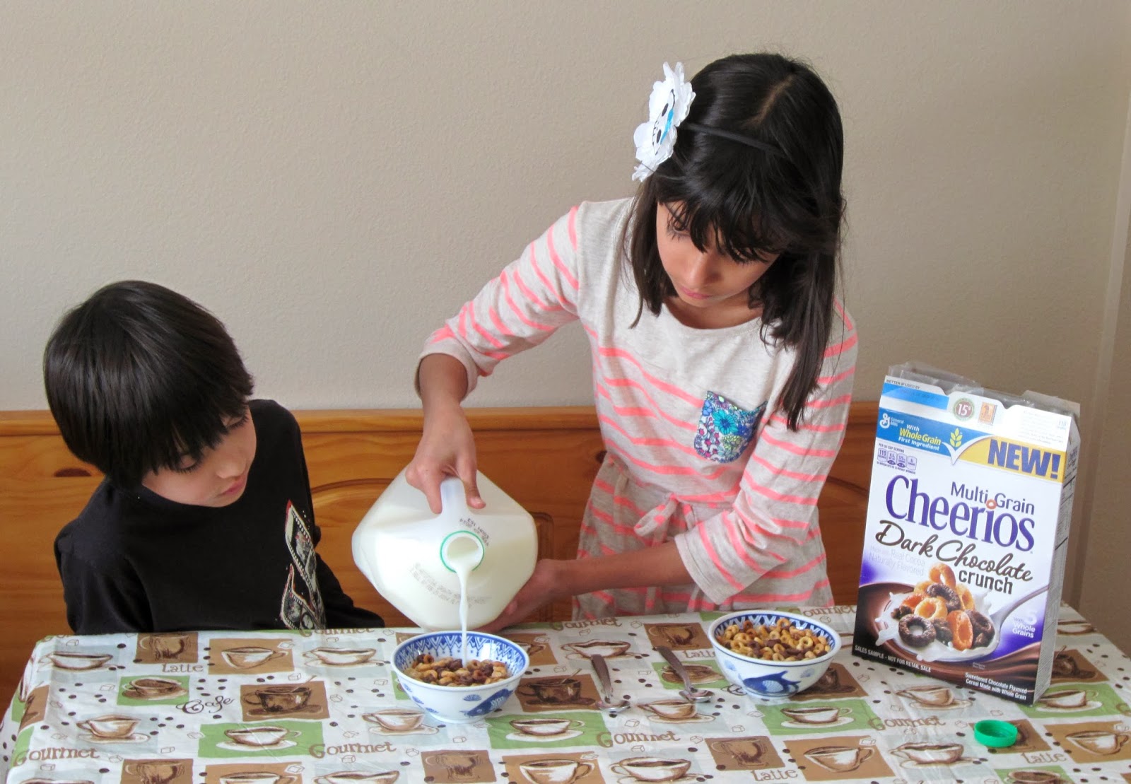 Multigrain Cheerios Dark Chocolate Crunch