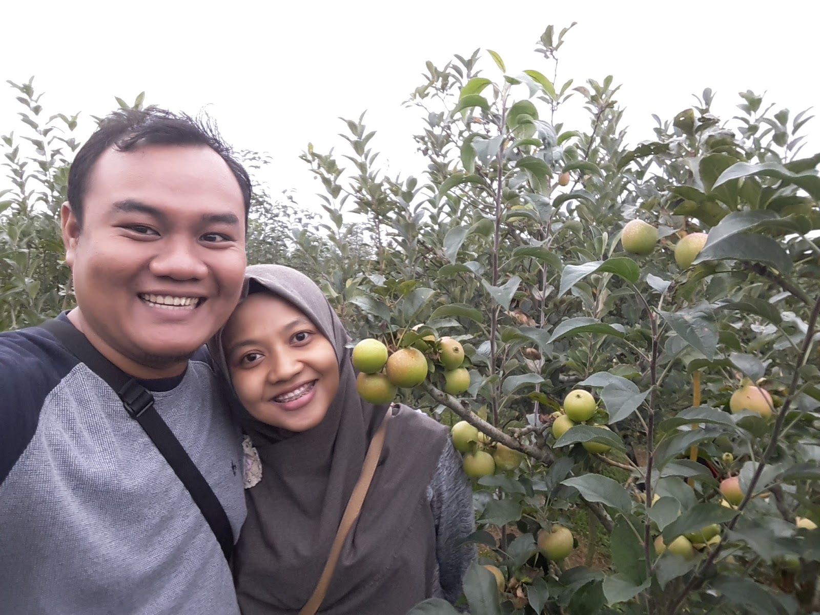 Mendadak Panen di Wisata Petik Apel - Batu, Malang! - Meykke Santoso