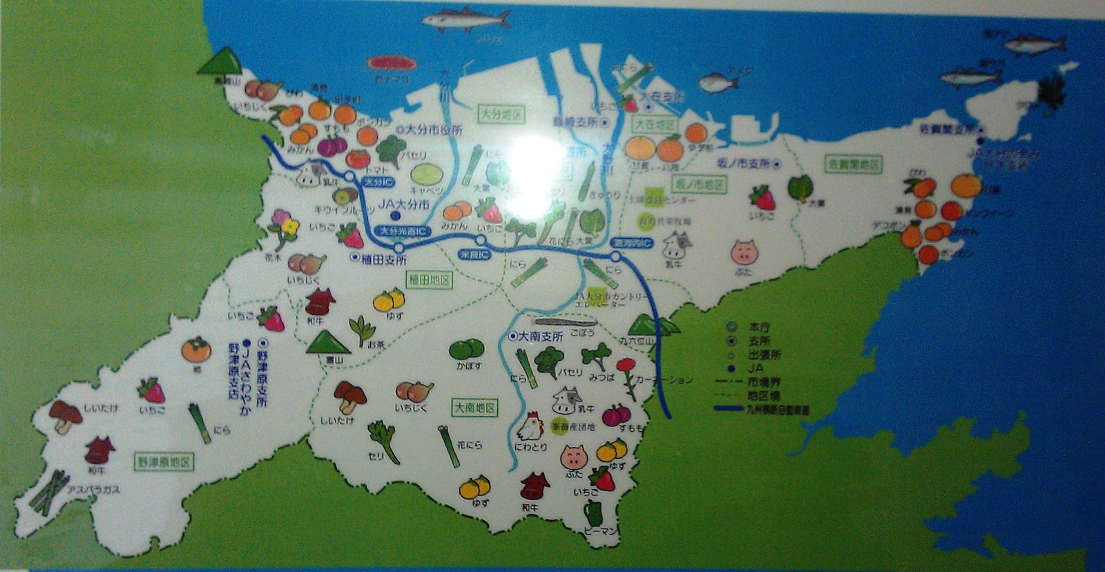 Where Does Food Come From Part 2 - Sophelia's Japan