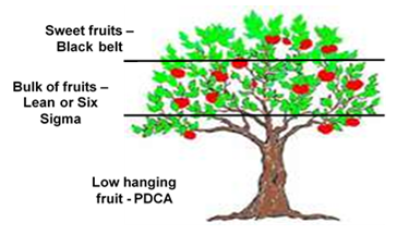 Anchoori Sridhar Blog: Six Sigma – Improvement Approaches