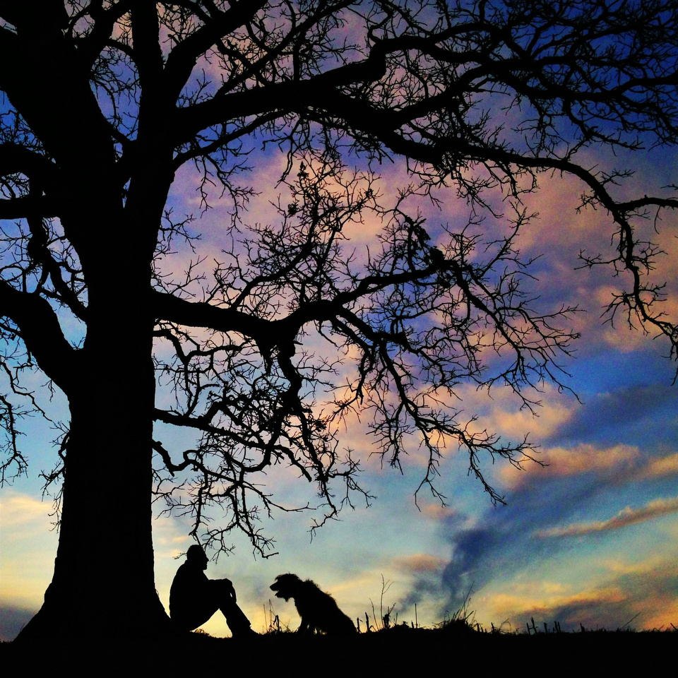 A Photographic Sage: Inspired by Mark Hirsch...