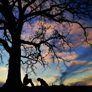 A Photographic Sage: Inspired by Mark Hirsch...