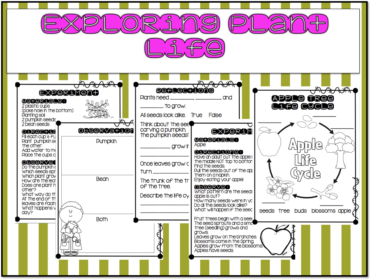 1st Grade Hip Hip Hooray!: Animal and Plant Life...NGSS 1st Grade