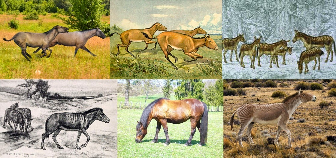 Palaeos, la historia de la Vida en la Tierra: ¿Cómo se dice? Primera parte