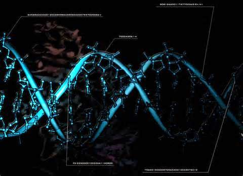 The Night Is Coming: Artificial DNA, Alien DNA, or Something Else?