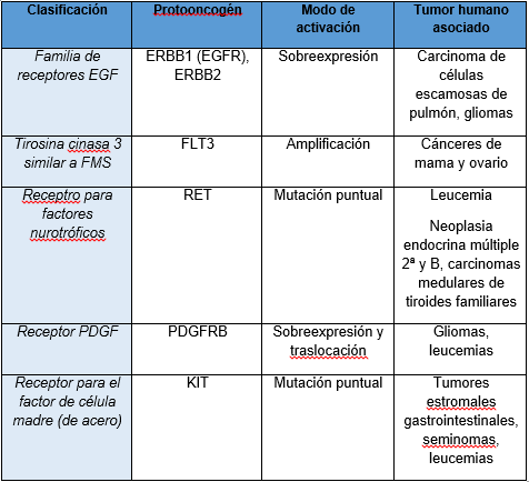 proteínas transmembrana