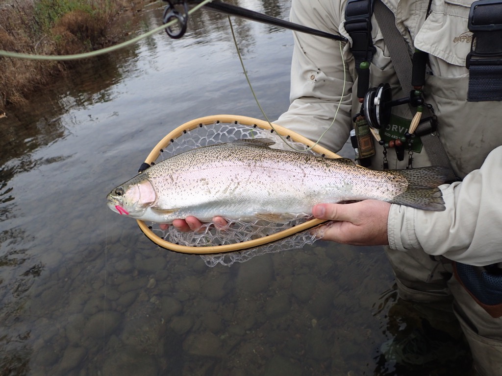 The Fading Angler: Mornin' Ralph...