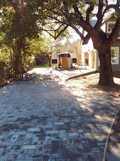Pacific Interlock Pavingstones: Permeable Pavers prevent tree root upheaval