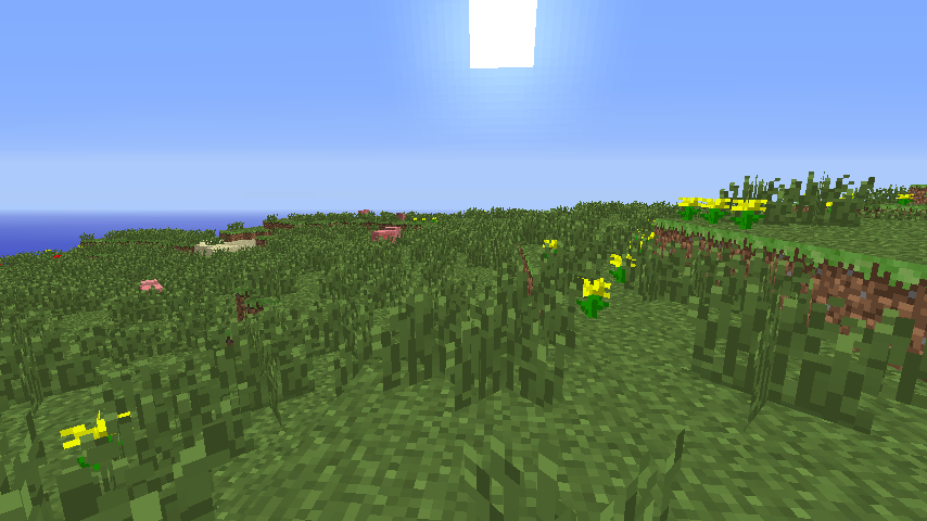 Info de minecraft: Tipos de Bioma