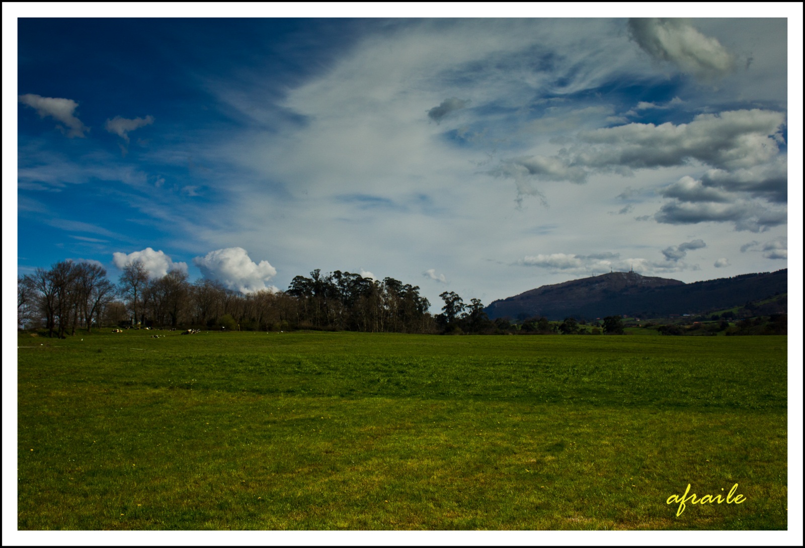 Foto afraile: Guarnizo (El Astillero).