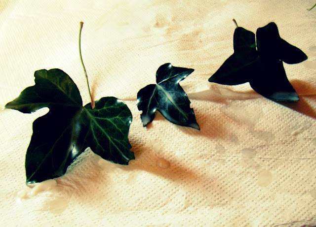 Casa Edera: Spazio per Creare