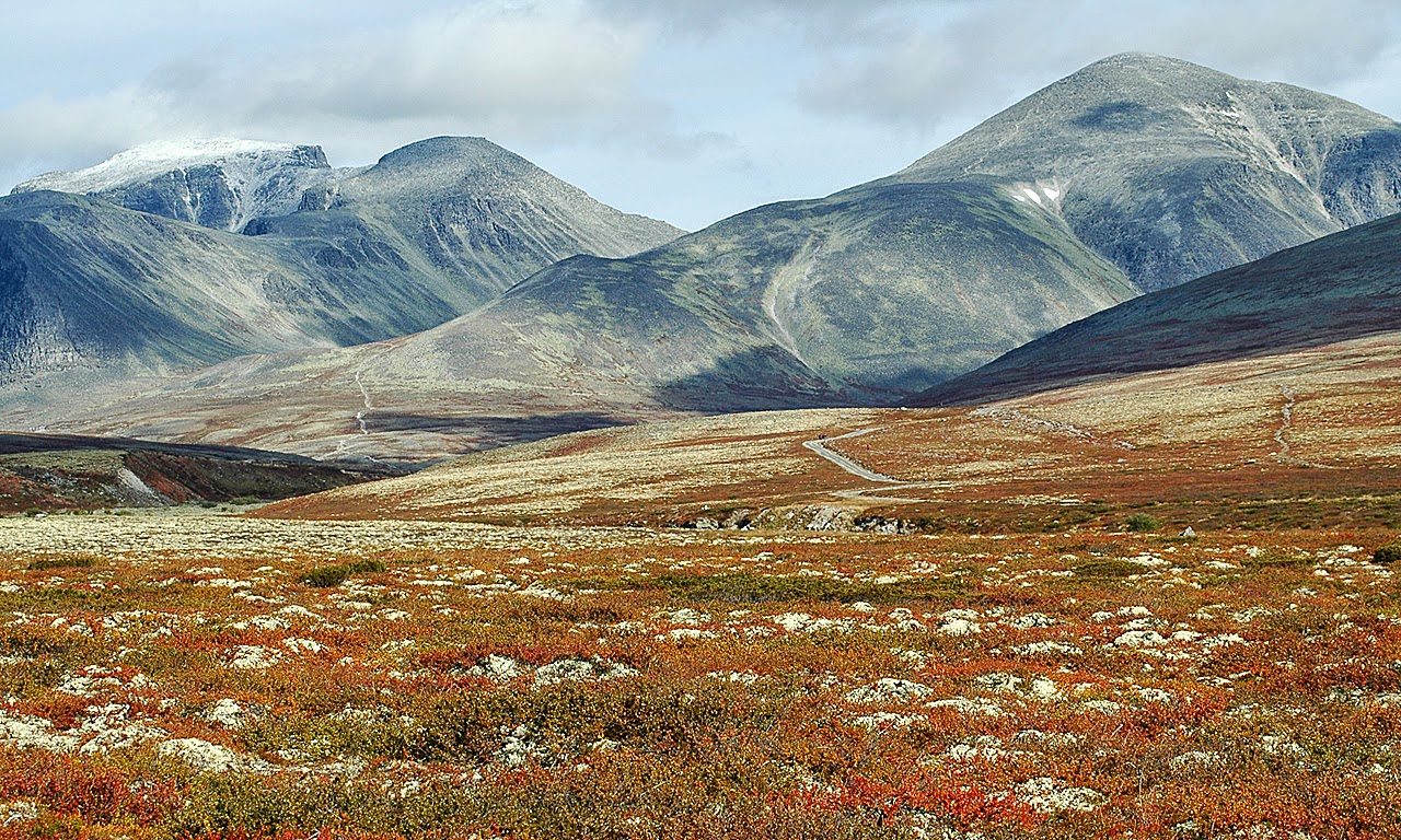 BioFoto Sørlandet: Portrettintervju med Brit Indahl Lande