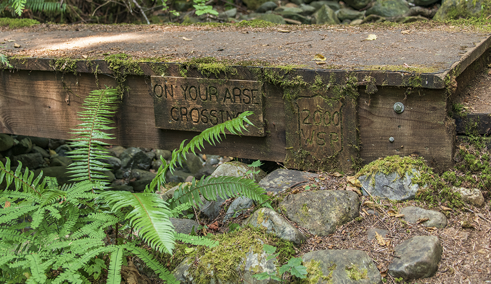 Merikay's Dream : Dosewallips State Park and Olympic National Park