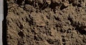 Persebaran 19 Jenis / Macam Tanah di Indonesia dan gambarnya - Biologizone