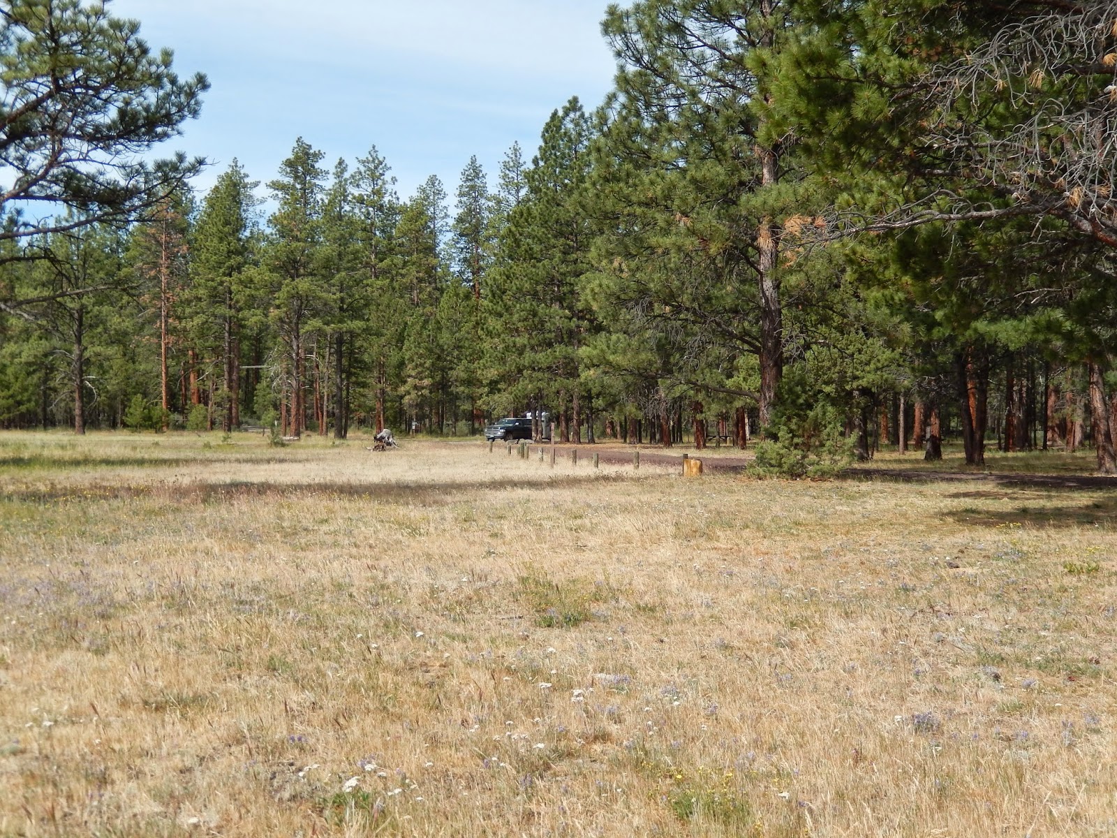 Holly's Horse Tales and Trails: Silver Creek Marsh and Farm Well Horse ...