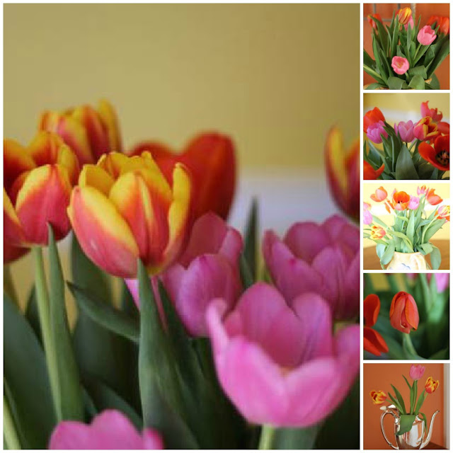FRIDAY FLOWERS: TULIPS - An Eye For Detail