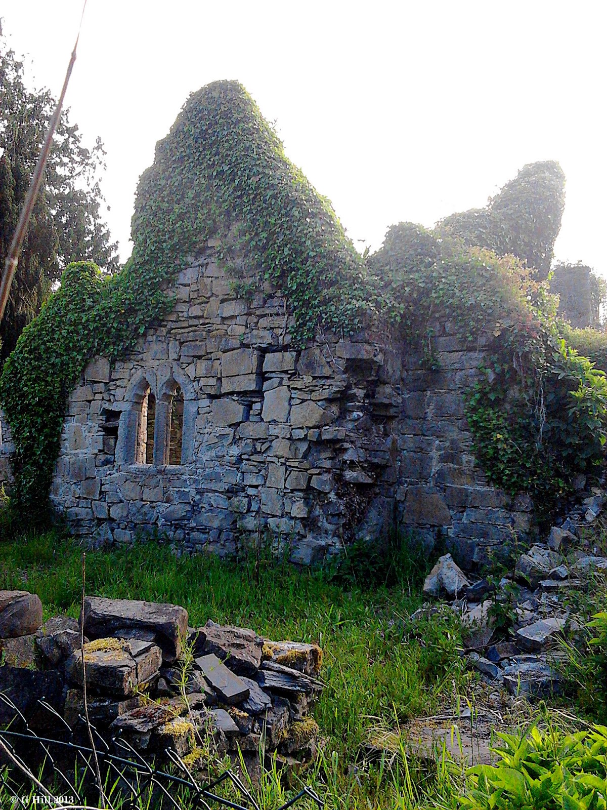 Ireland In Ruins: Old Donaghcumper Church Co Kildare