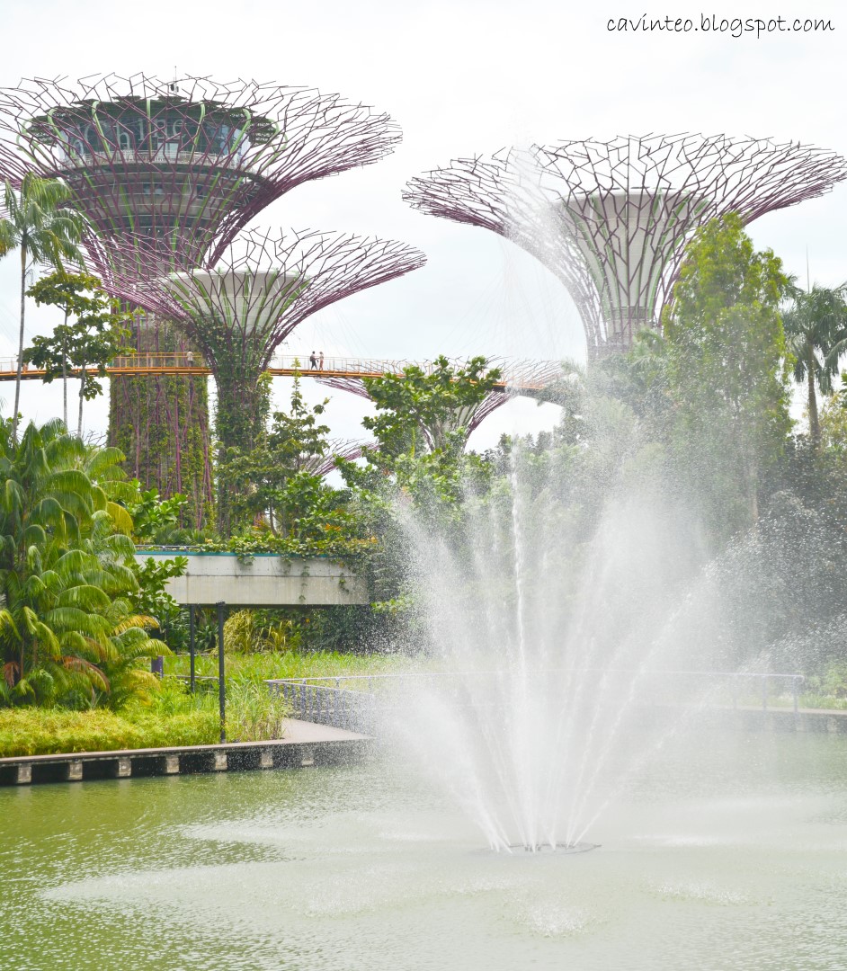 Entree Kibbles: Cloud Forest in 2017 @ Gardens by the Bay [Singapore]