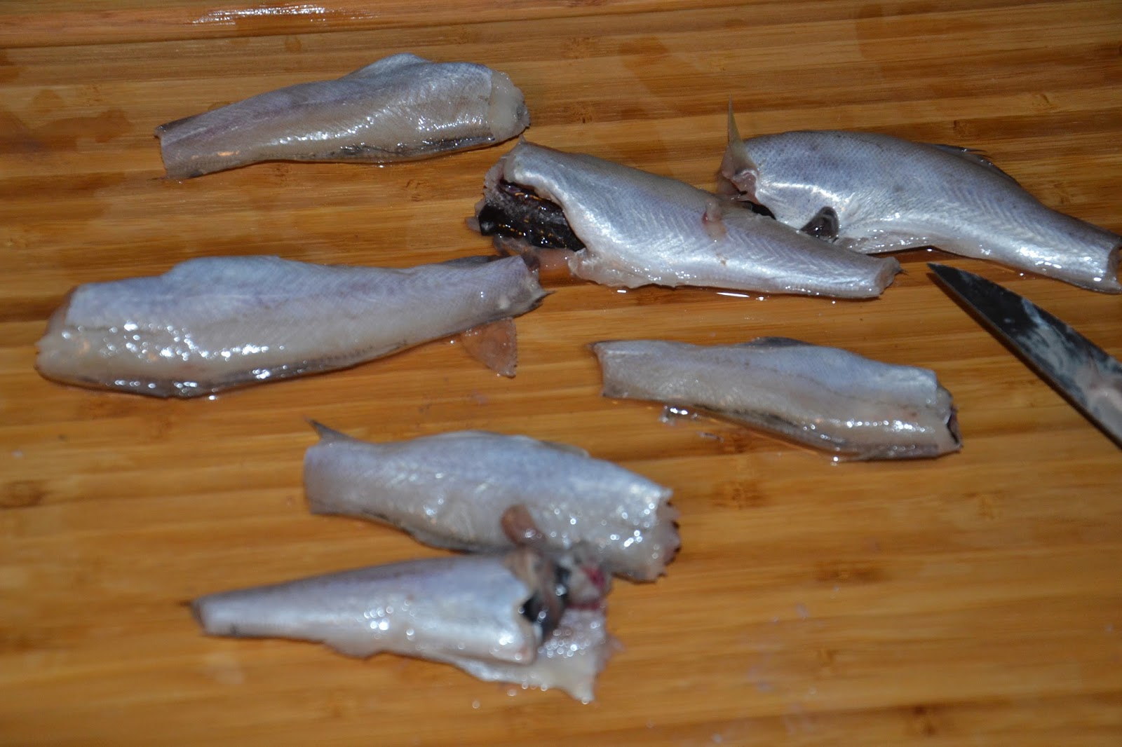 Oppdag Fisk!: Øyepål/Norwegian Pout/Trisopterus Esmarkii