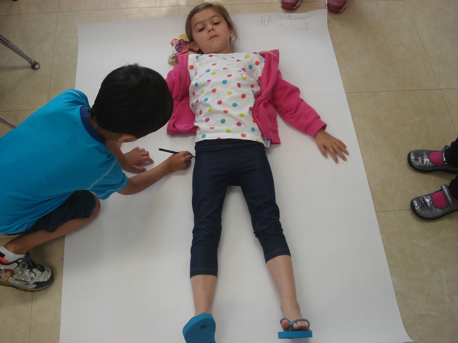 Dragonflies: Body Tracing