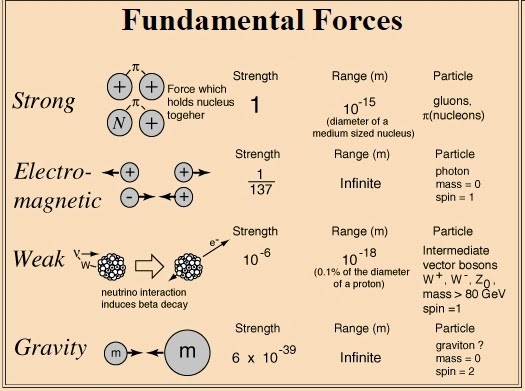 Four Fundamental Forces Of Real