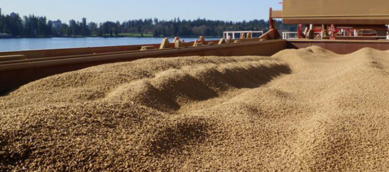 Biomass Industrial Innovative Projects: Global markets for wood pellets ...