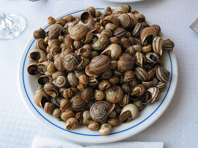 Caracóis. Você tem coragem? - Conexão Portugal