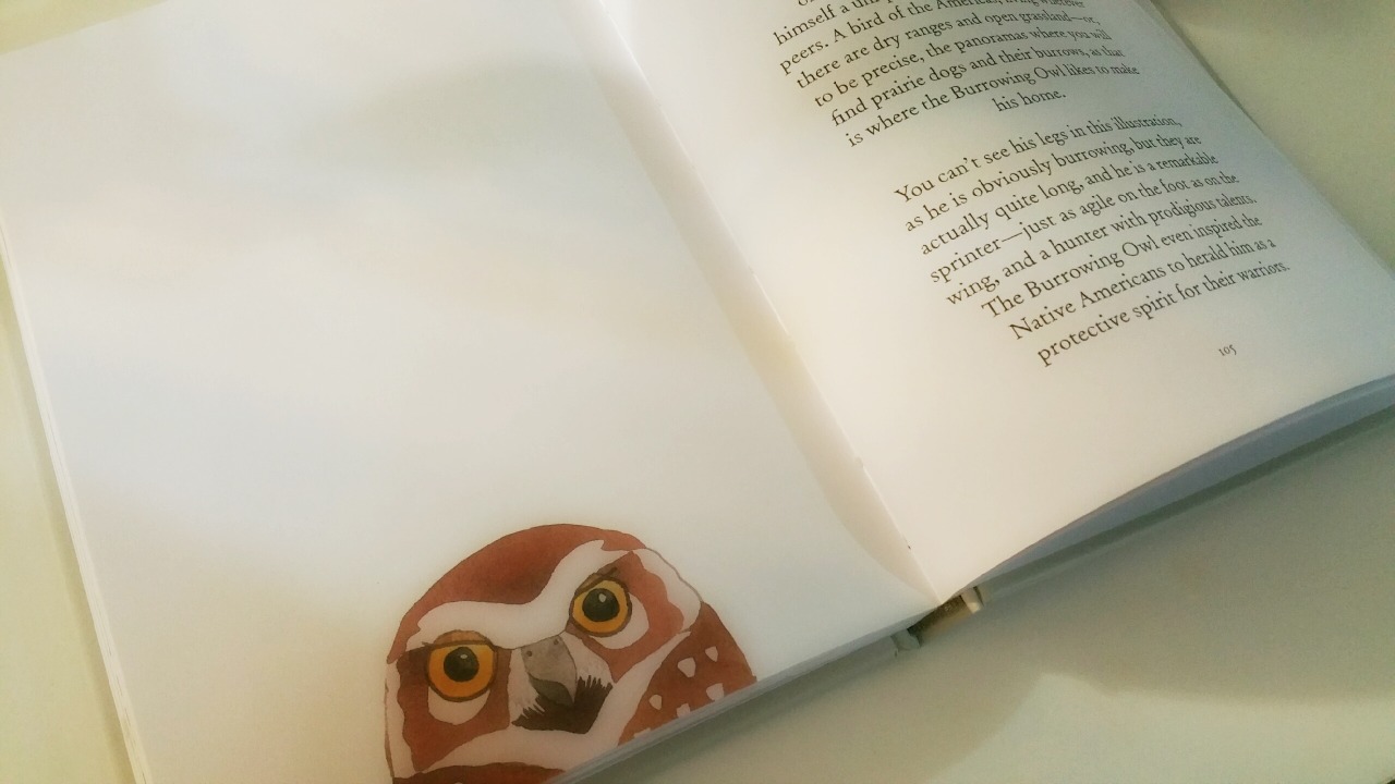 Historically Obsessed : Book Review: OWLS OUR MOST CHARMING BIRD by ...