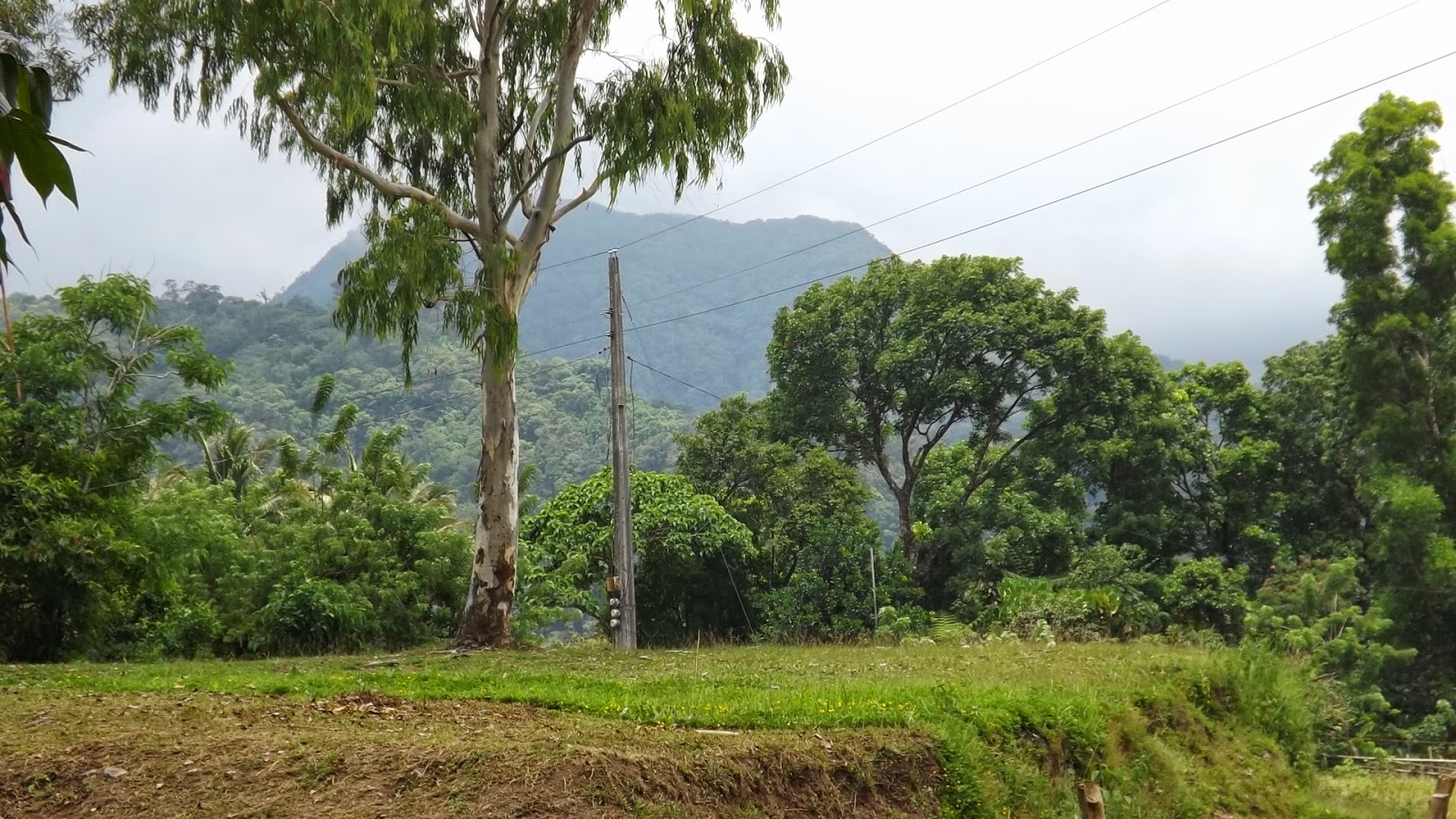 PATAG ADVENTURES GUIDE - Touristang Pobre