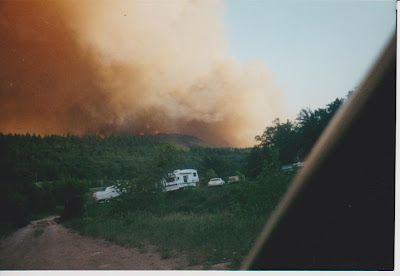 interested party: Images of 2002 Grizzly Gulch Fire