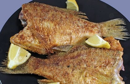 Galla Creek Ephemeris: Fried Crappie