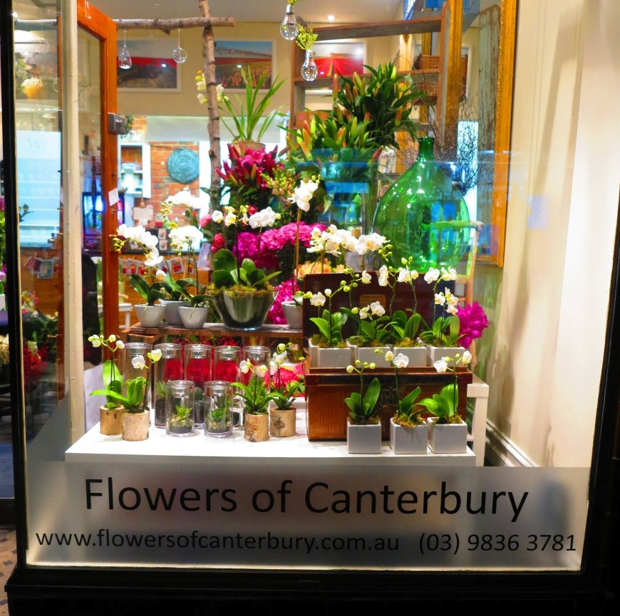 Essentially Australian: Spring flowers...sunshine and happiness...and a ...