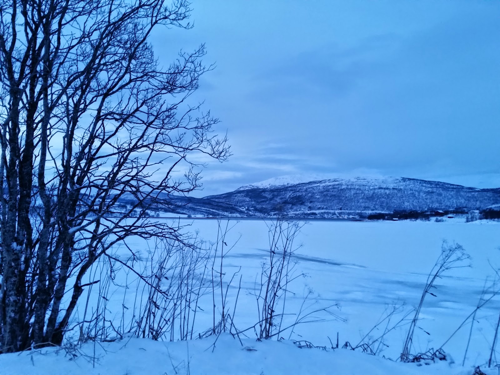 Eilas blogg: På tur til Fjelldal