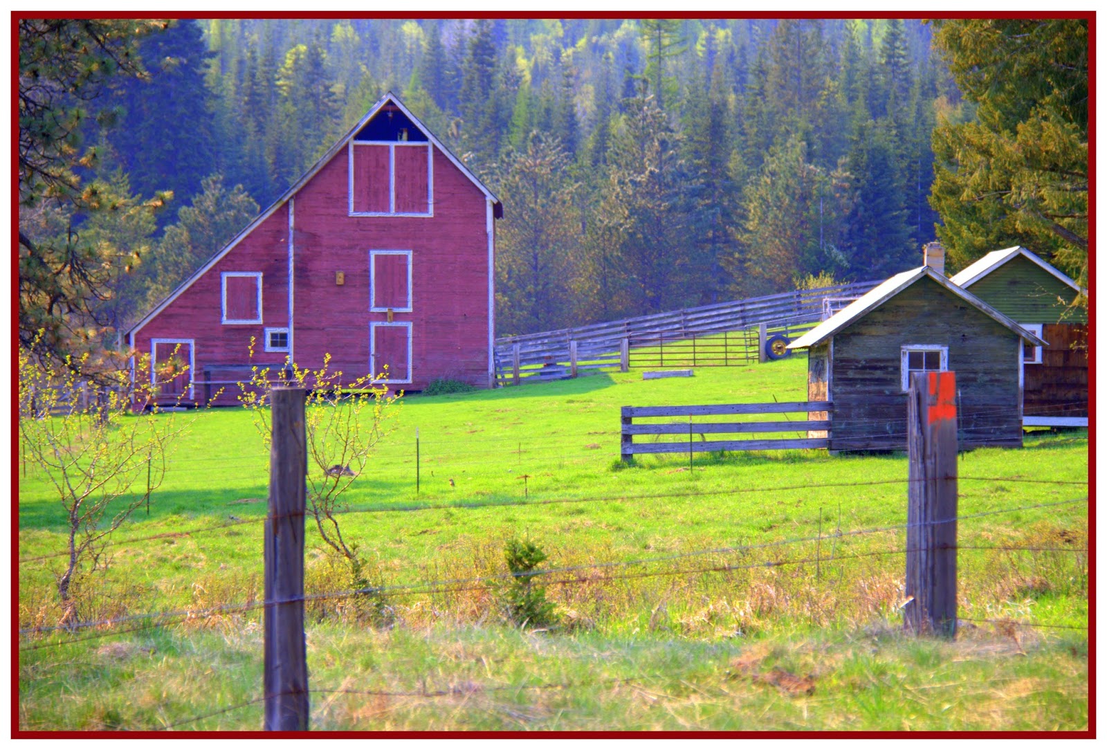 Slight Detour: Country Spring Scenes R Us