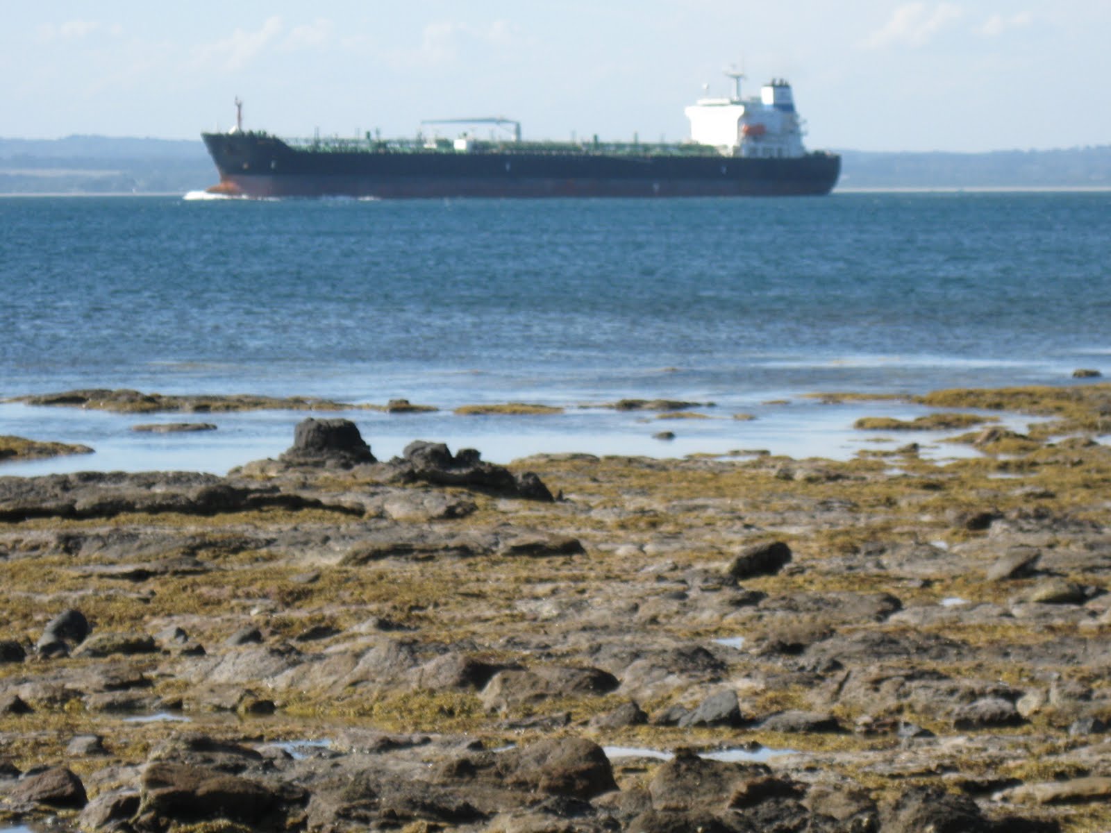 Robin's Double Life: Shipping on Western Port Bay: Phillip Island