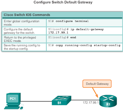 Learning The Network: Configure a Switch with Initial Settings